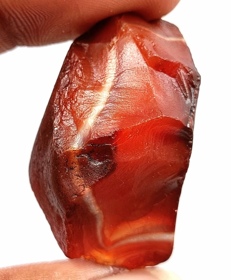 DYED 105 CT NATURAL BROWN AMBER ROCKS AND MINERALS ROUGH EGL CERTIFIED ...