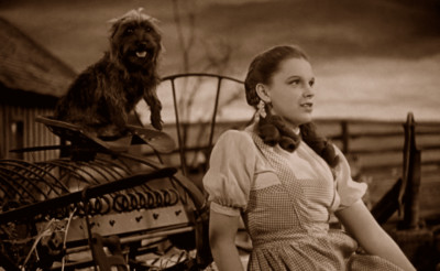 Wizard Of OZ Dorothy Gail and Toto Sepia 8x10 Glossy Photo | eBay