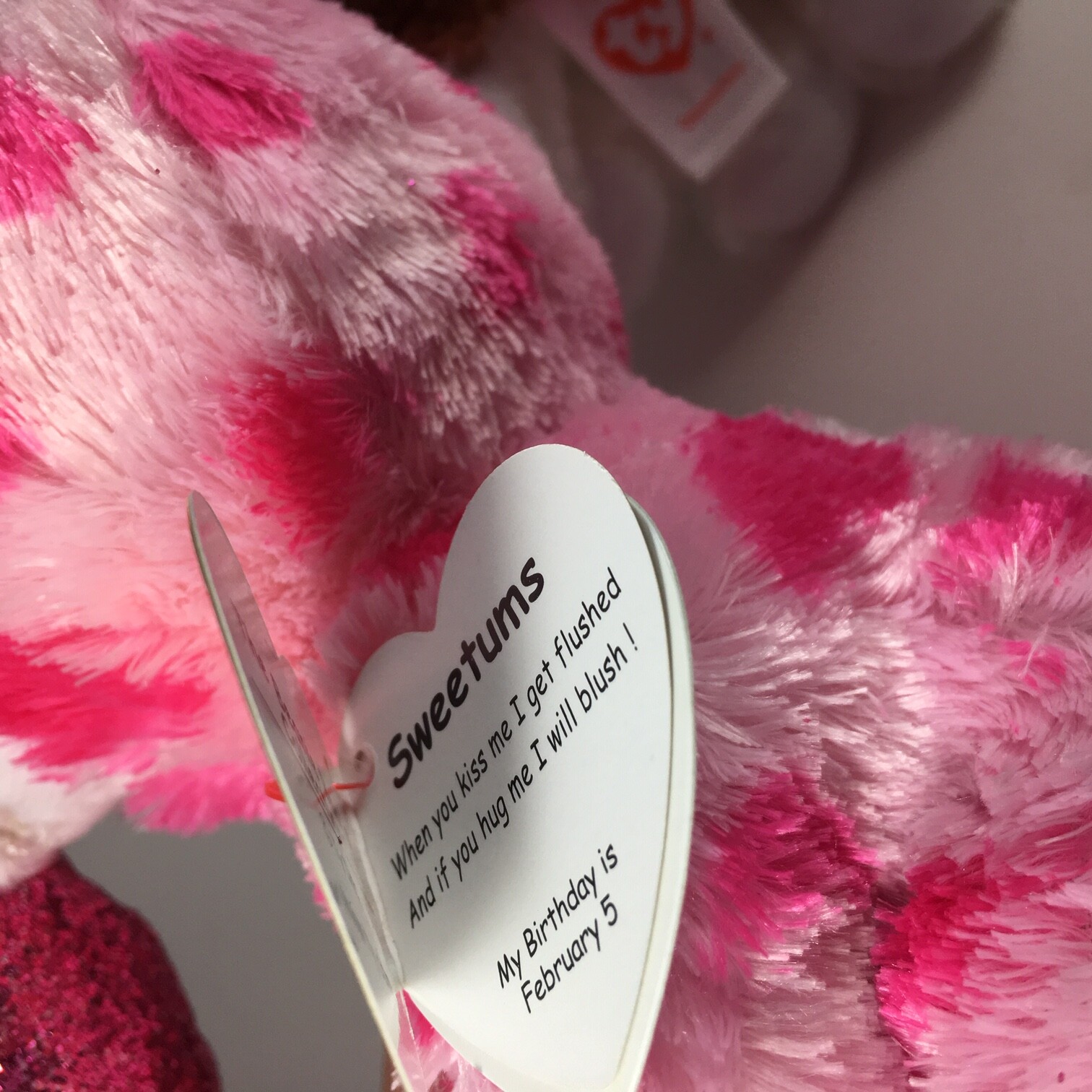 Set of 2 TY Beanie Boos 6" SWEETUMS Giraffe & SMOOTCHES Dog Valentine ...