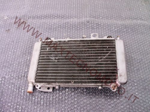 WATER RADIATOR FOR PIAGGIO X9 250 FROM 2001 (e9340) | eBay
