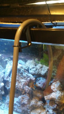Marine reef coral tank aquarium siphon drain hose tube hook refill salt ...