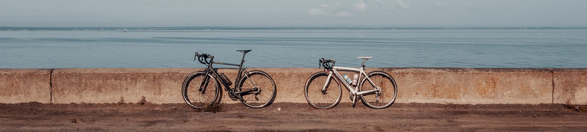 DOLPHIN BICYCLE | eBay Stores