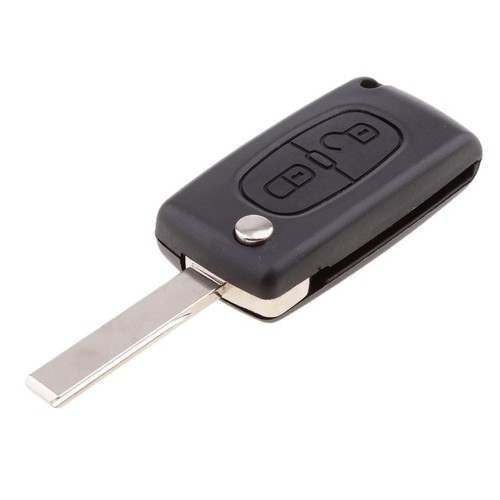 Car 2-Button Remote Key Fob ID46 Chip | eBay Australia