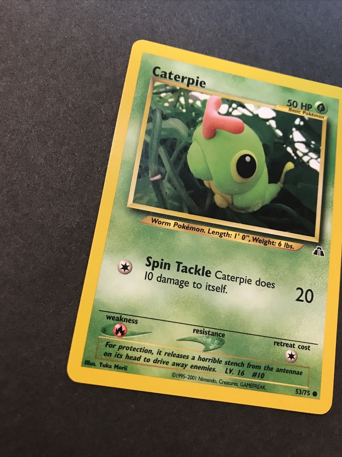 Caterpie 52/75 Neo Discovery Basic Pokemon Card | eBay