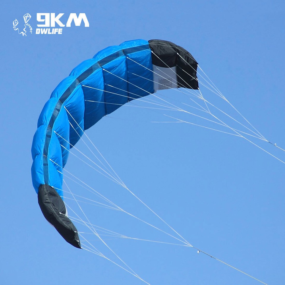 4sqm 4-Line Power Kite Professional Outdoor Sports Traction Kite With ...