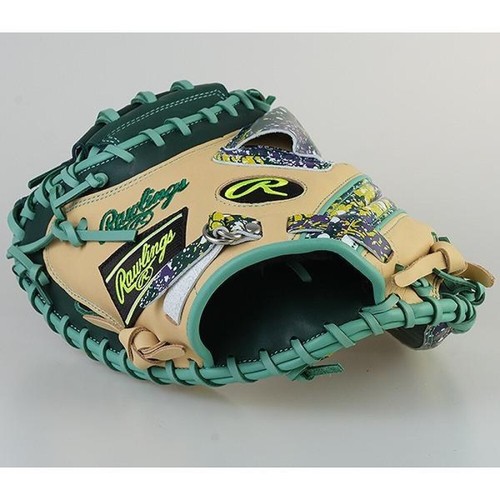 Rawlings Baseball glove Catchers mitt Heart of the Hide BLIZZARD Wizard ...