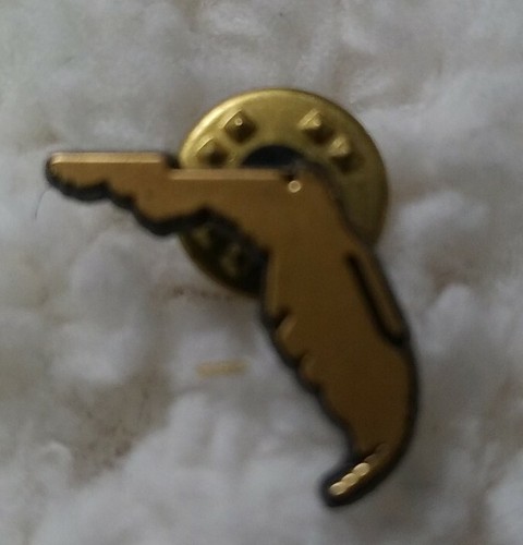 Florida State Shaped Gold Plastic Hat Lapel Pin | eBay