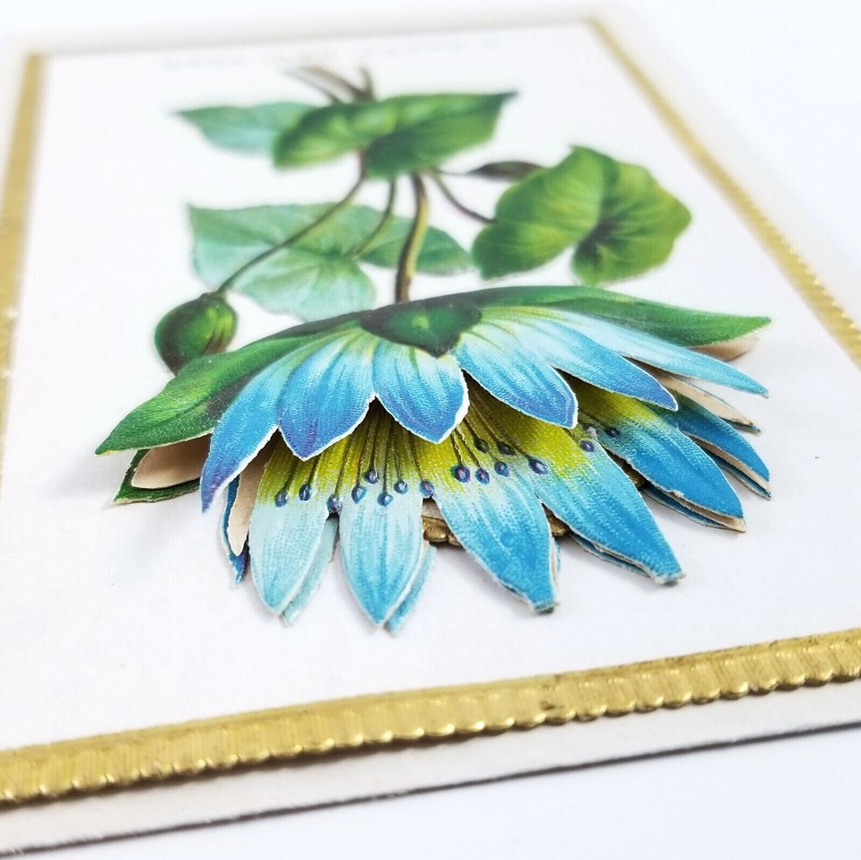 Antique Happy New Year Mailing Envelope Blue Lily Pad Opens To Reveal ...