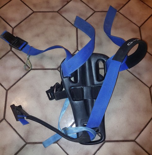 Seaquest Scuba Backpack With Dive Rite Harness | eBay