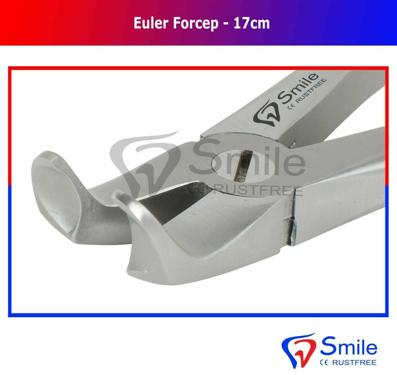 Euler Forcep For Lower Wisdom 17cm Tooth Extraction Forceps SD ...