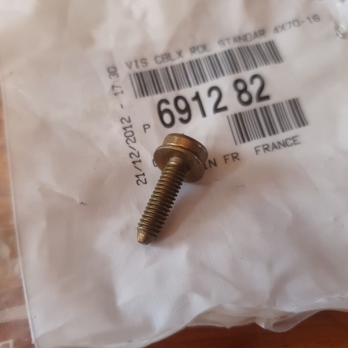 Vis CBLX avec Rondelle d'Origine Peugeot Citroën - 691282 | eBay