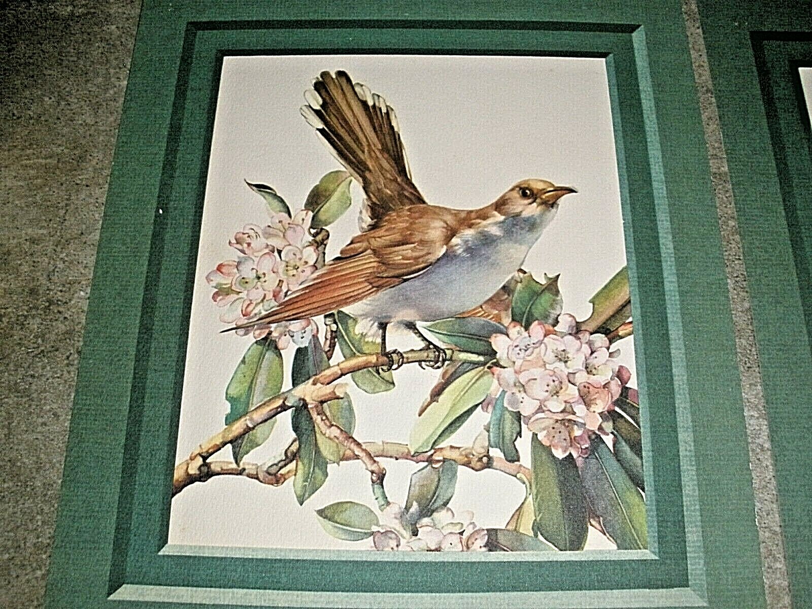Lot of 3 New York Graphic Society Bird Prints by Cecil Golding Ready to ...