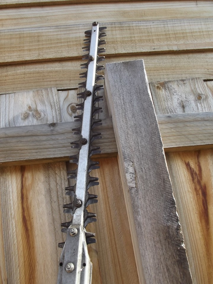 SHINDAIWA Long Shafted Hedge Trimmer M243S | eBay Australia