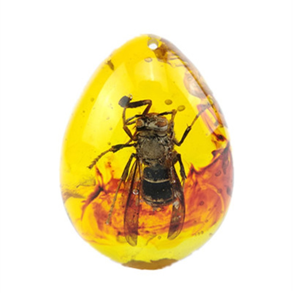 Resin Amber Butterfly Scorpion Crabs Ants Spider Insect Stone Pendant ...