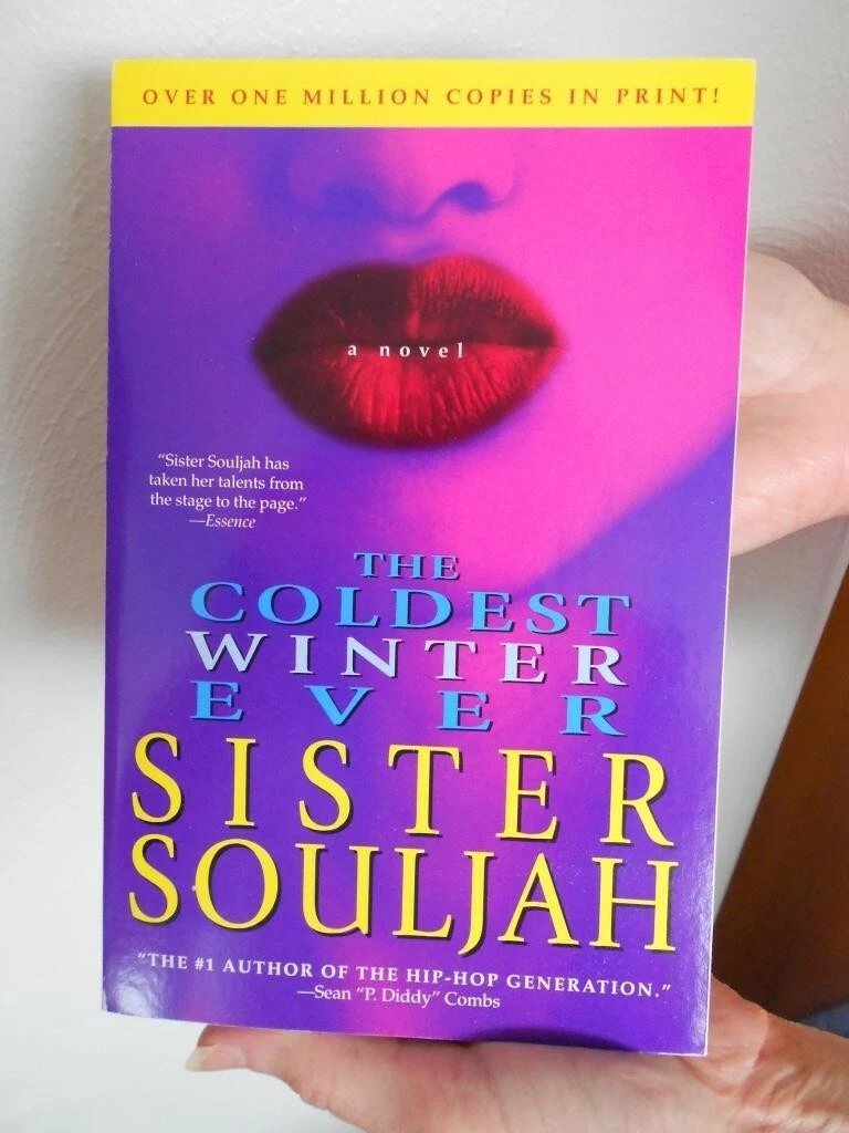 Coldest Winter Ever Read Online