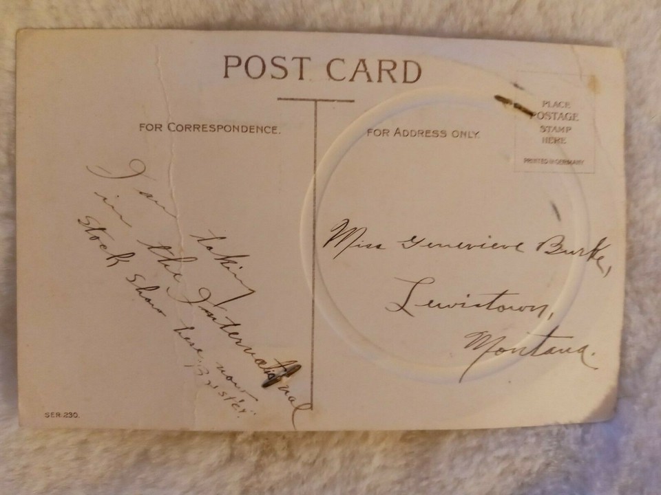 Vintage Postcard Embossed Gold Horseshoe Letters Applied Chicago Fat ...