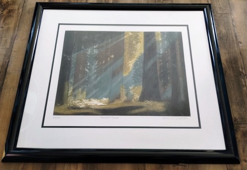 Susan E. Jameson Forest Glade Signed Artwork Mezzotint Framed Matted 30 ...