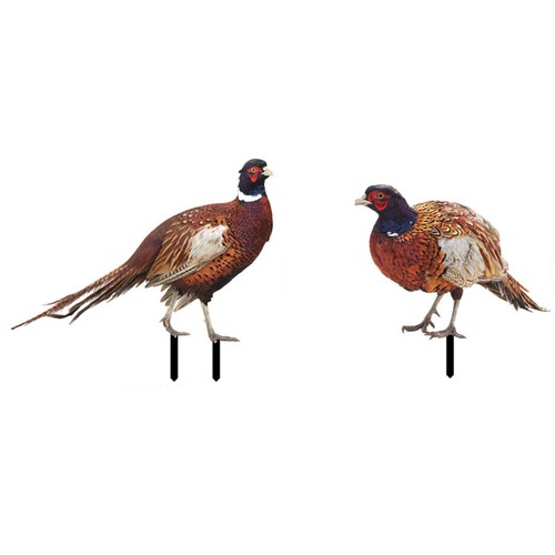 Set of 2 Chicken Garden Ornaments | Lifelike Pheasant Garden Stake ...