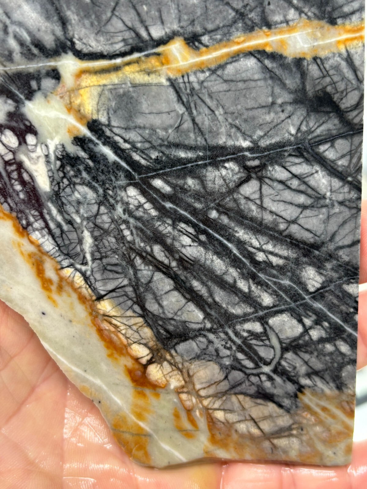 Picasso Marble (Jasper) Slab Cabbing Lapidary Utah Combo Ship Avail | eBay