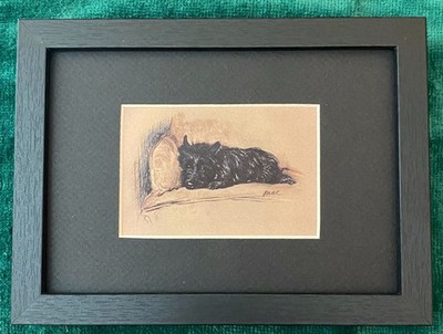 Cairn Terrier - MATTED | FRAMED | READY TO GIFT - New Dog Art Print | eBay