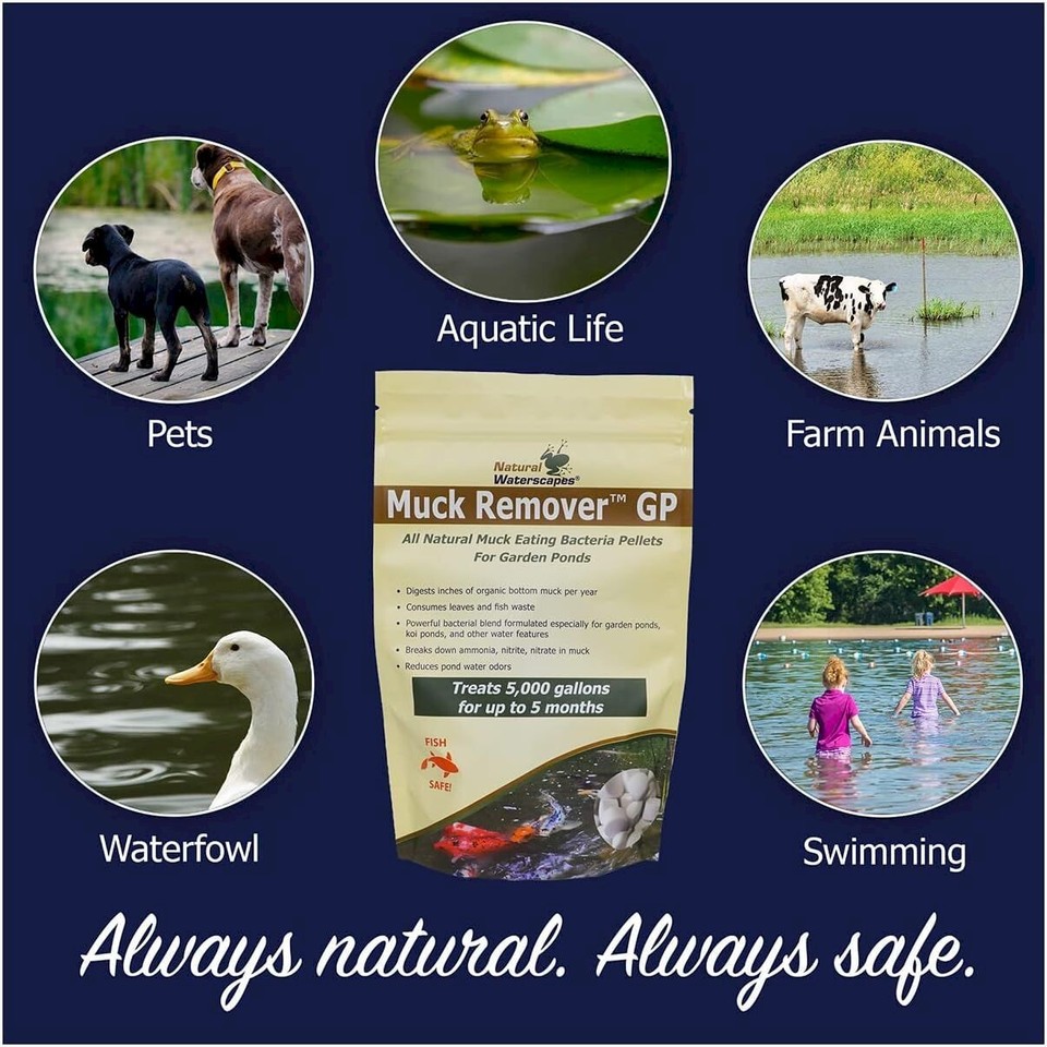 Muck Remover GP 150 Pellets – Pond Sludge Cleaner, Treats 5,000 Gal | eBay