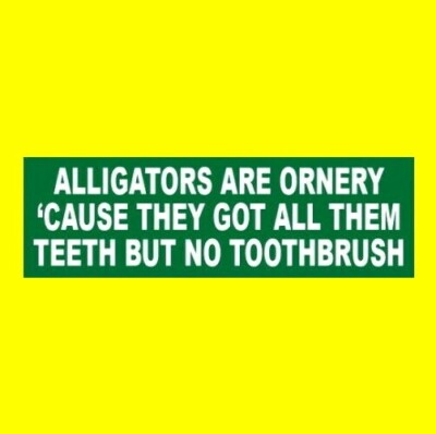 Funny "ALLIGATORS ARE ORNERY" The Waterboy BUMPER STICKER Bobby Boucher ...