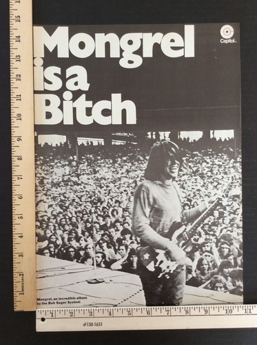Rare Original VTG 1970 Bob Seger System Mongrel Poster Style Music Ad Art Print | eBay