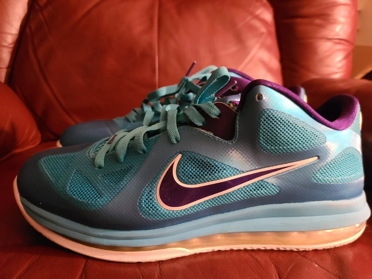 Lebron James 9 Hornets