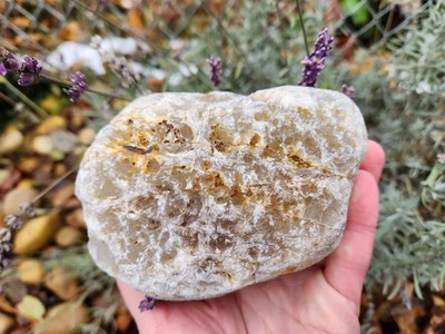 Large 2.5 Pound Oregon Coast Agate, Epimorph Agate, Fully Translucent ...