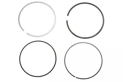Genuine GM Engine Piston Ring Kit 12705385 | eBay