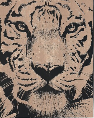 Tiger #2 Scratchboard Art 8 x 10 | eBay