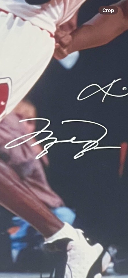 Michael Jordan V Kobe Bryant Dual Signed 16x20 Auto Photo UDA Upper ...