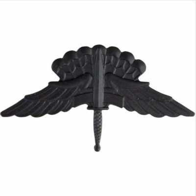 GENUINE U.S. ARMY BADGE: FREEFALL JUMP WINGS - REGULATION SIZE, BLACK ...