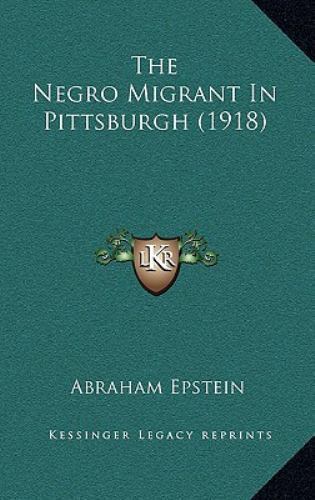 Negro Migrant in Pittsburgh by Abraham Epstein (2010, Hardcover) for ...