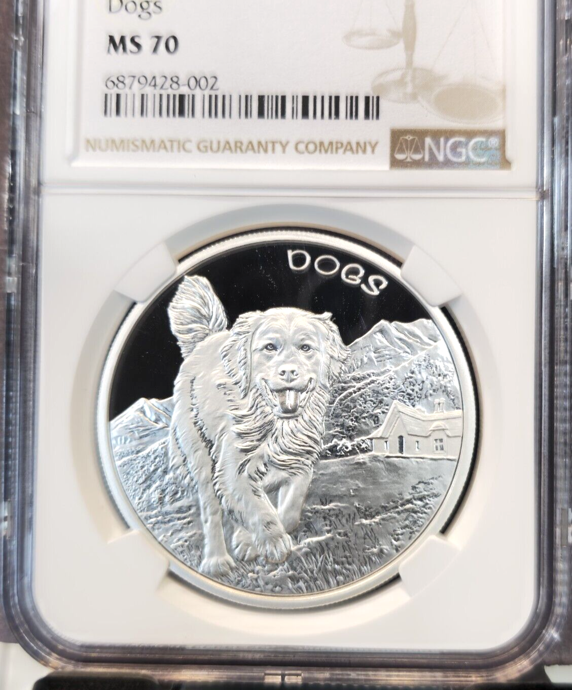 2022 FIJI SILVER 50 CENTS S50C DOGS NGC MS 70 RARE PERFECTION | eBay