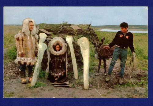 VINTAGE POSTCARD ESKIMO HUT SCENE ARTIC REGION WALRUS TUSKS 1964 | eBay