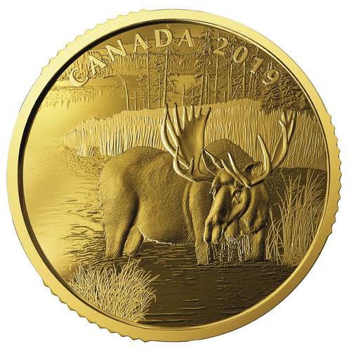 2019 $200 Canadian Moose - 1 Ounce .99999 Fine Gold Coin, Mintage just ...