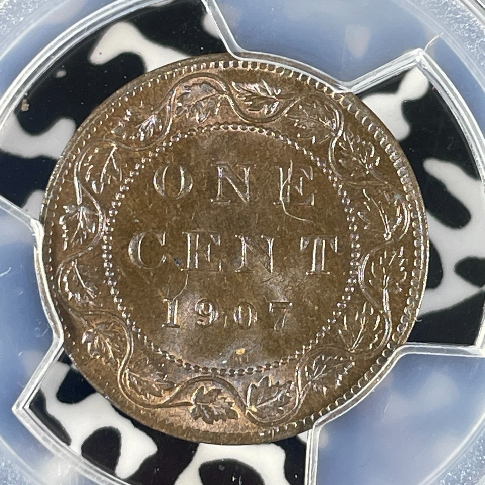 1907 Canada Large Cent PCGS MS64RB Lot#G1621 Choice UNC! | eBay