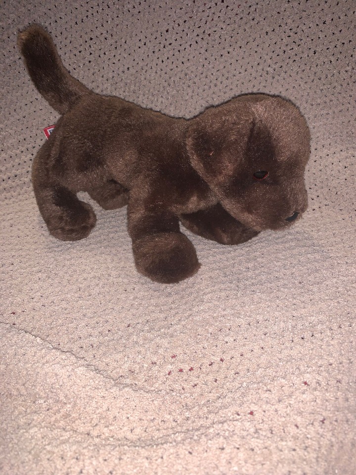11" Douglas The Cuddle Toy Brown Chocolate Lab Dog Puppy Stuffed Plush ...