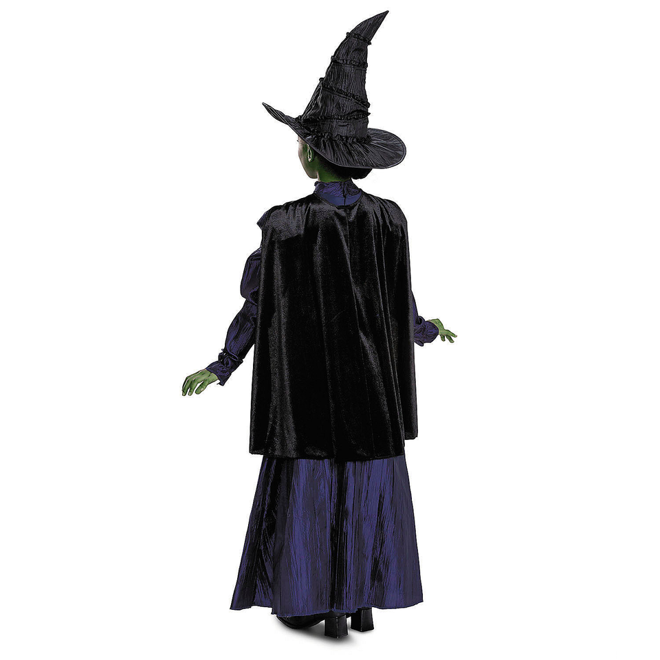 Toddler Deluxe Wicked Elphaba Purple Dress Costume - Disguise | eBay