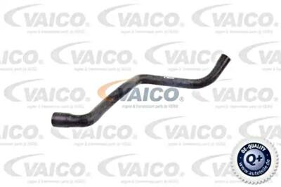 Engine Cooler Expansion Tank Pipe Hose Fits MERCEDES W140 C140 Sedan ...