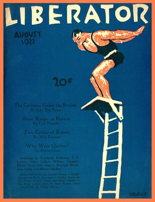 9867.Decoration Poster.Wall Art.Home room design.Liberator Man diving ...