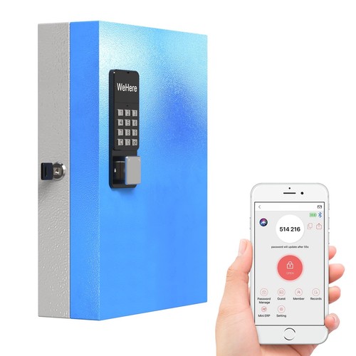 32 Key Lock Box (Plus) Wall Mount, APP Bluetooth/OTP/Wi-Fi/Fixed Code ...
