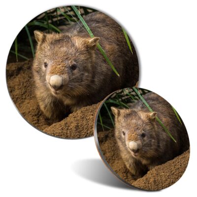 Mouse Mat & Coaster Set Australian Wombat Cute Wild Animal #50140 | eBay UK