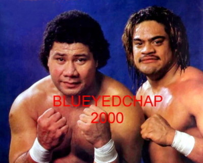 THE ISLANDERS WRESTLER 8 X 10 WRESTLING PHOTO WWF WCW | eBay