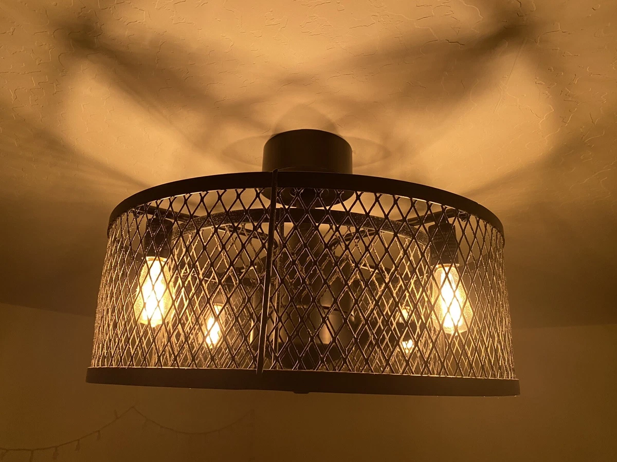 Fanimation Edison Light Ceiling Fan | Shelly Lighting