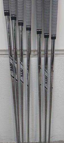 True Temper AMT Black S300 5-PW, GW Sitff 7 Shafts | eBay