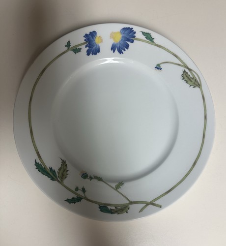 Denby Porcelain Limoges France Spring Time Dinner Plate Excellent | eBay