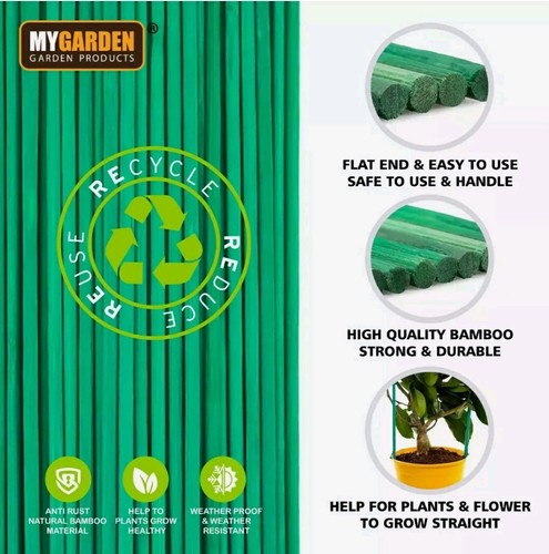 100x Green Bamboo Flower Sticks Wooden Plant Support Growing Training ...