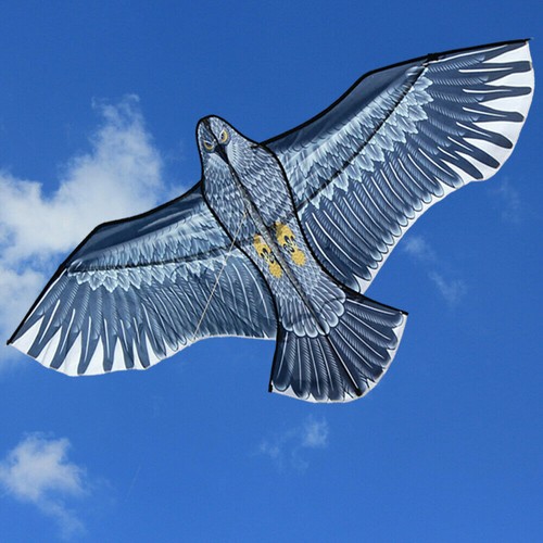 Huge 1.5m Eag-le Kite single-line Novelty animal Kites Children's toys ...